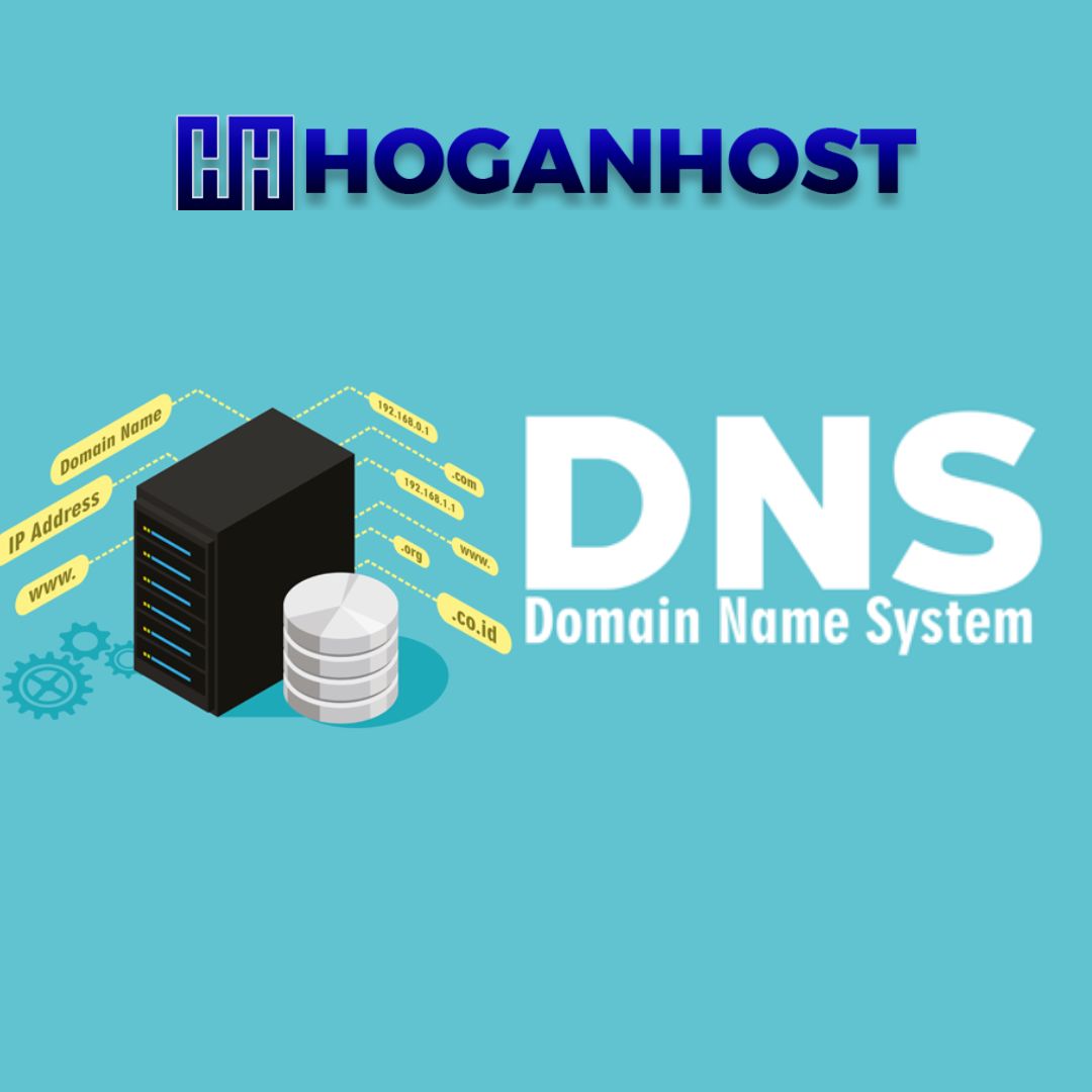 How can I recover lost DNS records? - HoganHost blog